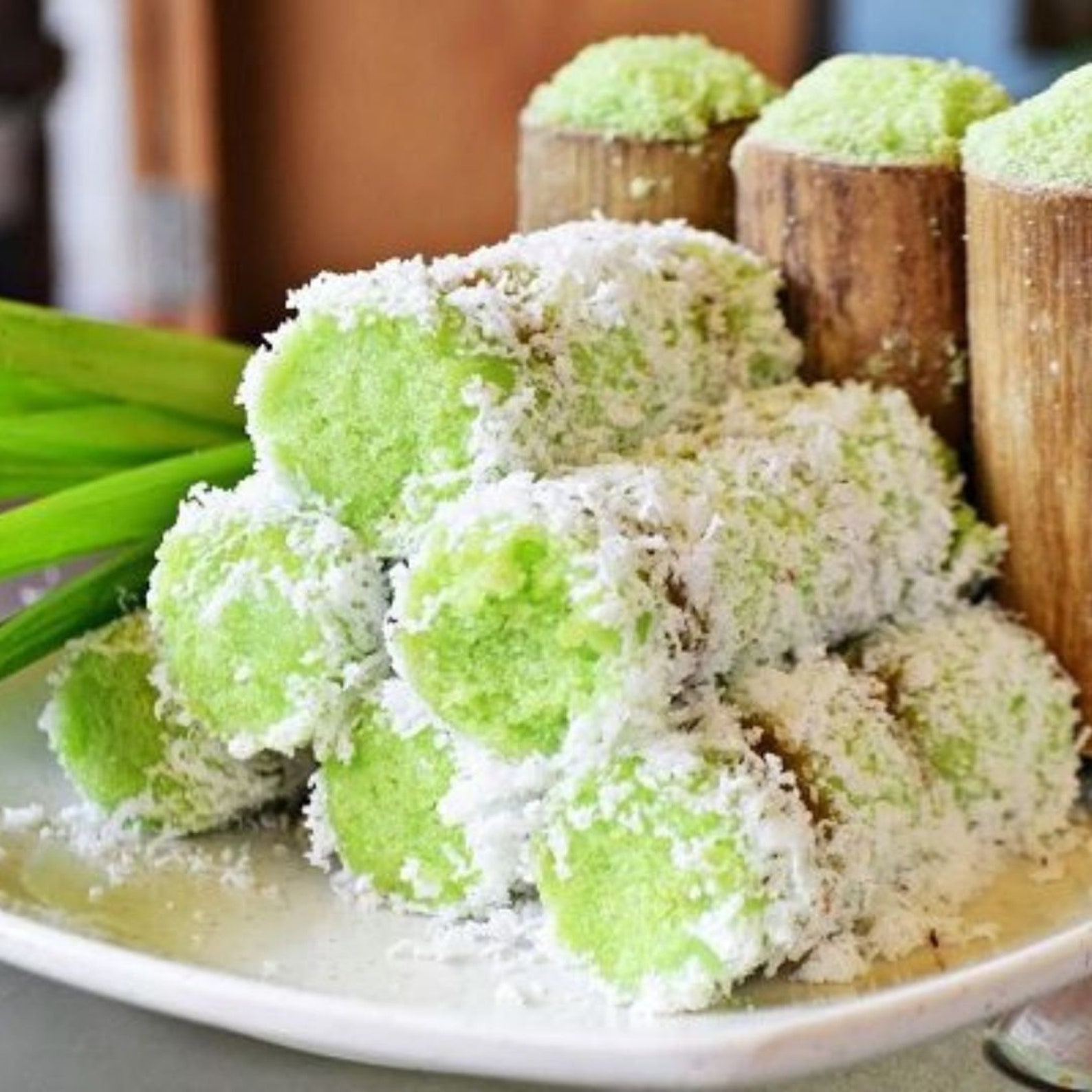 Pandan Leaves Live Plant(lá Dứa) - Pandanus Amaryllifolius Rooted Live ...