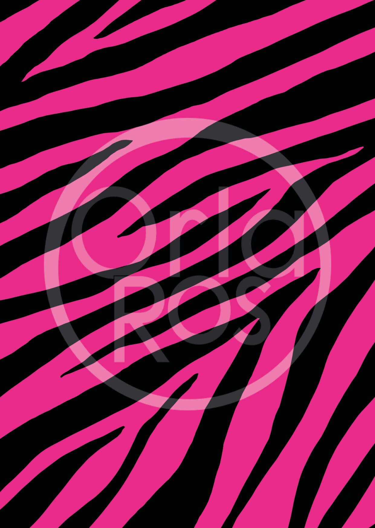 Bright Animal Print Postcards A6 Mini Print Set Leopard Print Postcard ...