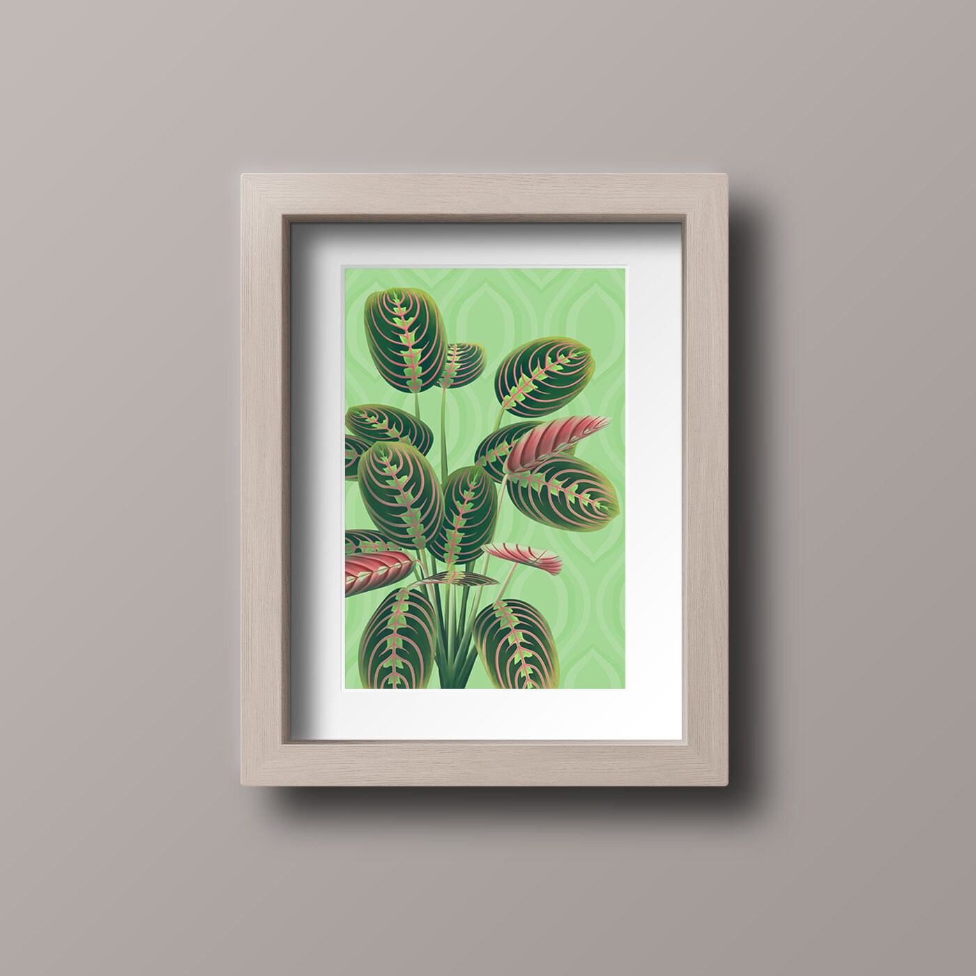 Prayer Plant Postcard and Badge Set Botanical Note Card With - Etsy