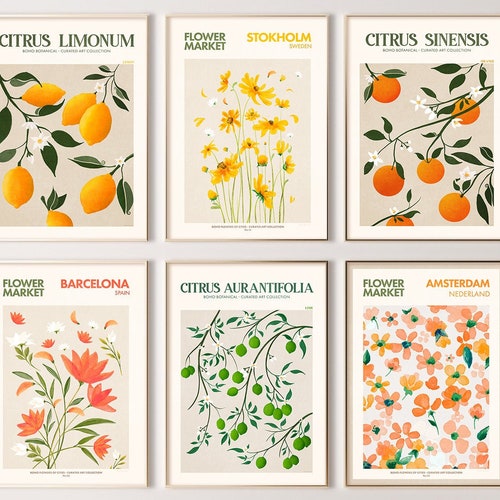 Flower Market Poster Set Gallery Wall Set of 6 Digital Prints - Etsy