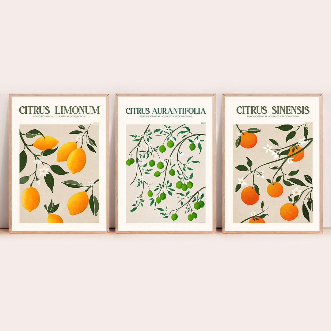 Set of 3 Citrus Art, Fruit Market Print, Kitchen Wall Art Downloads ...
