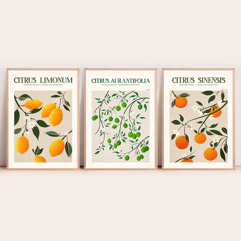Citrus Print - Etsy