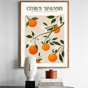 Set of 3 Citrus Art, Fruit Market Print, Kitchen Wall Art Downloads ...