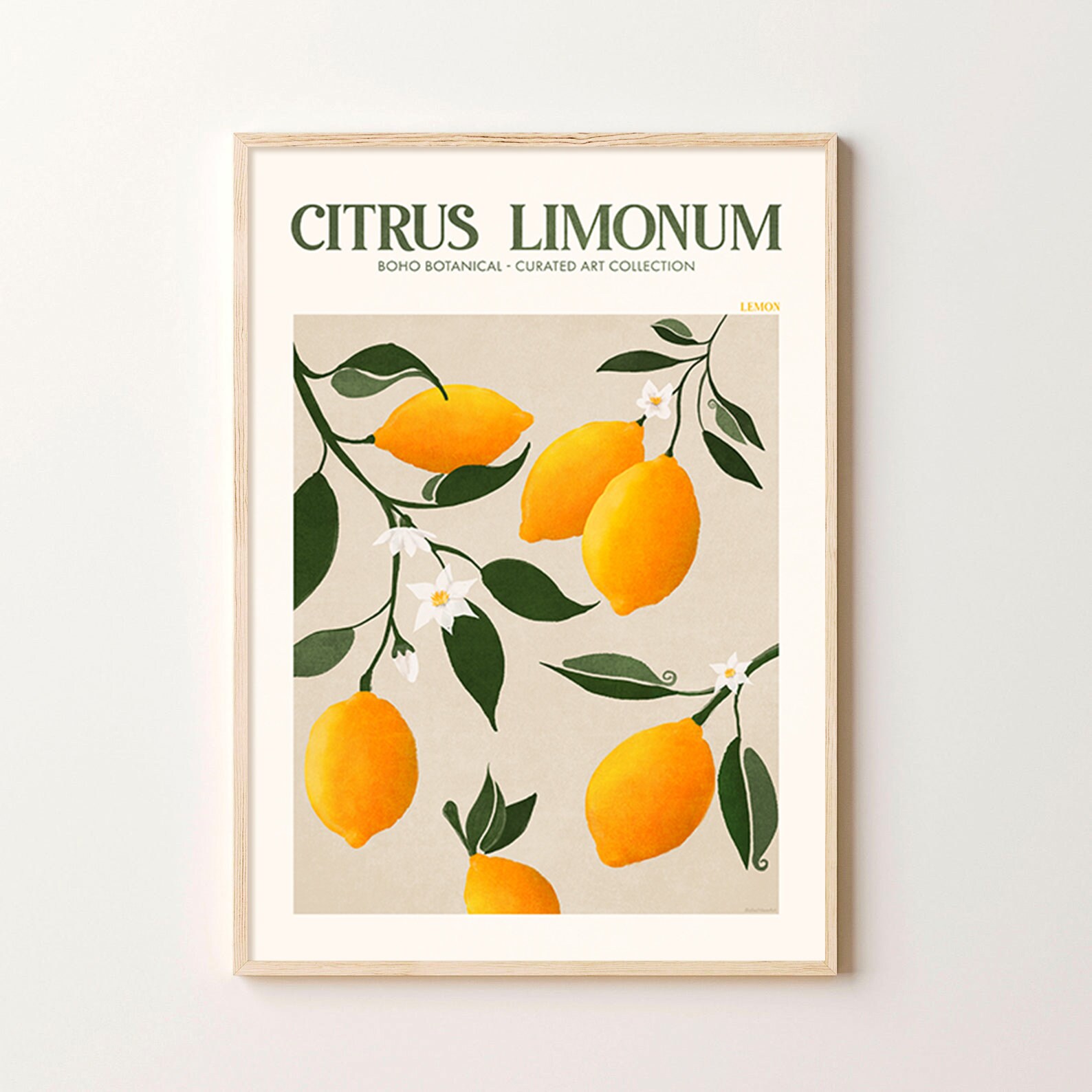 Set of 3 Citrus Art Fruit Market Print Kitchen Wall Art | Etsy