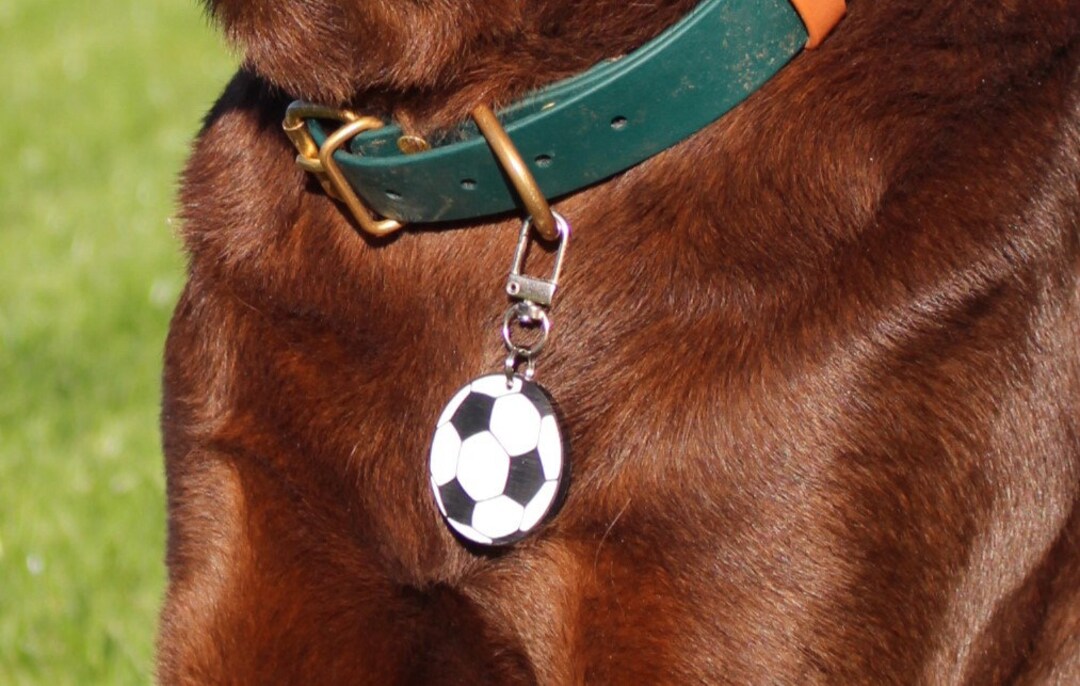 Soccer Ball Pet ID Tag, Acrylic Custom Dog Cat Tag - Etsy