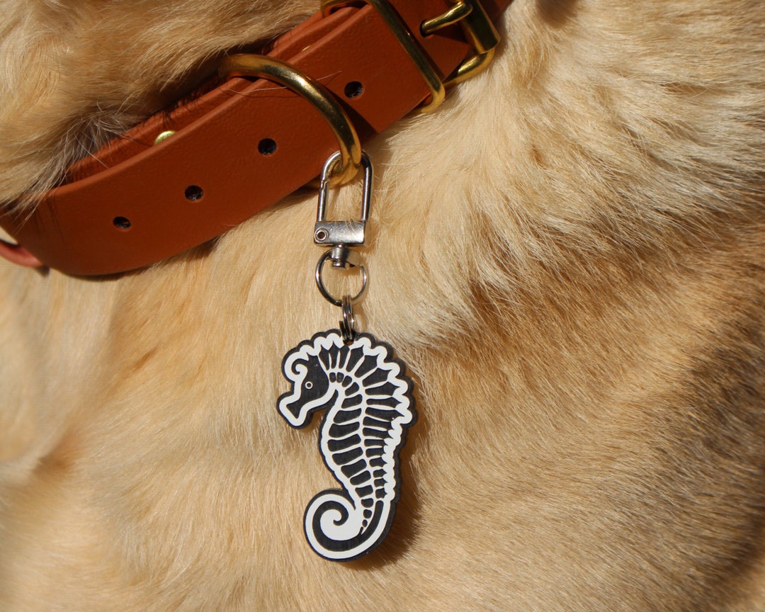 Pet Tag, Dog Collar Tag: Custom Dog Name Tag Necklace for Safety and ...