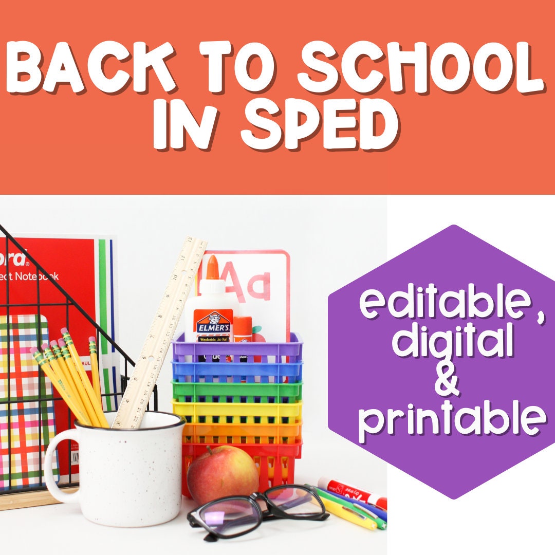 BTS Special Education Teacher Survival Guide Sped Autism - Etsy