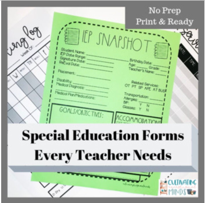 BTS Special Education Teacher Survival Guide Sped Autism - Etsy