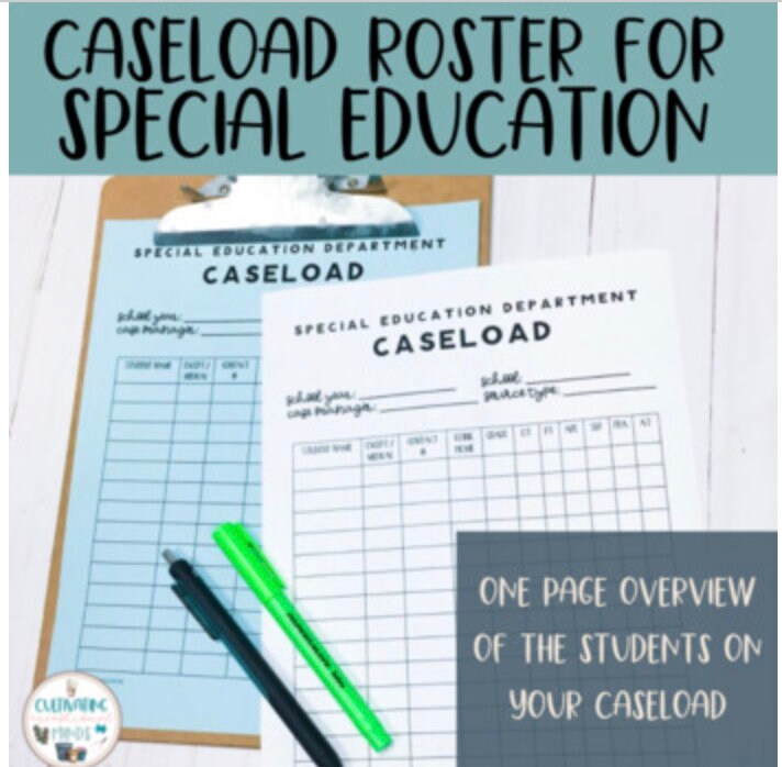 BTS Special Education Teacher Survival Guide Sped Autism - Etsy