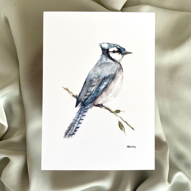 Blue Jay Art - Etsy