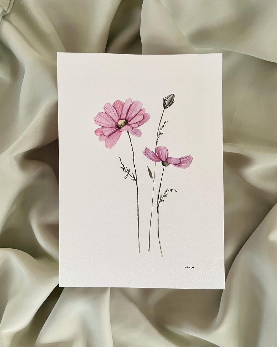 ORIGINAL 5x7 Cosmos Painting Pink Flower Art Botanical Illustration ...