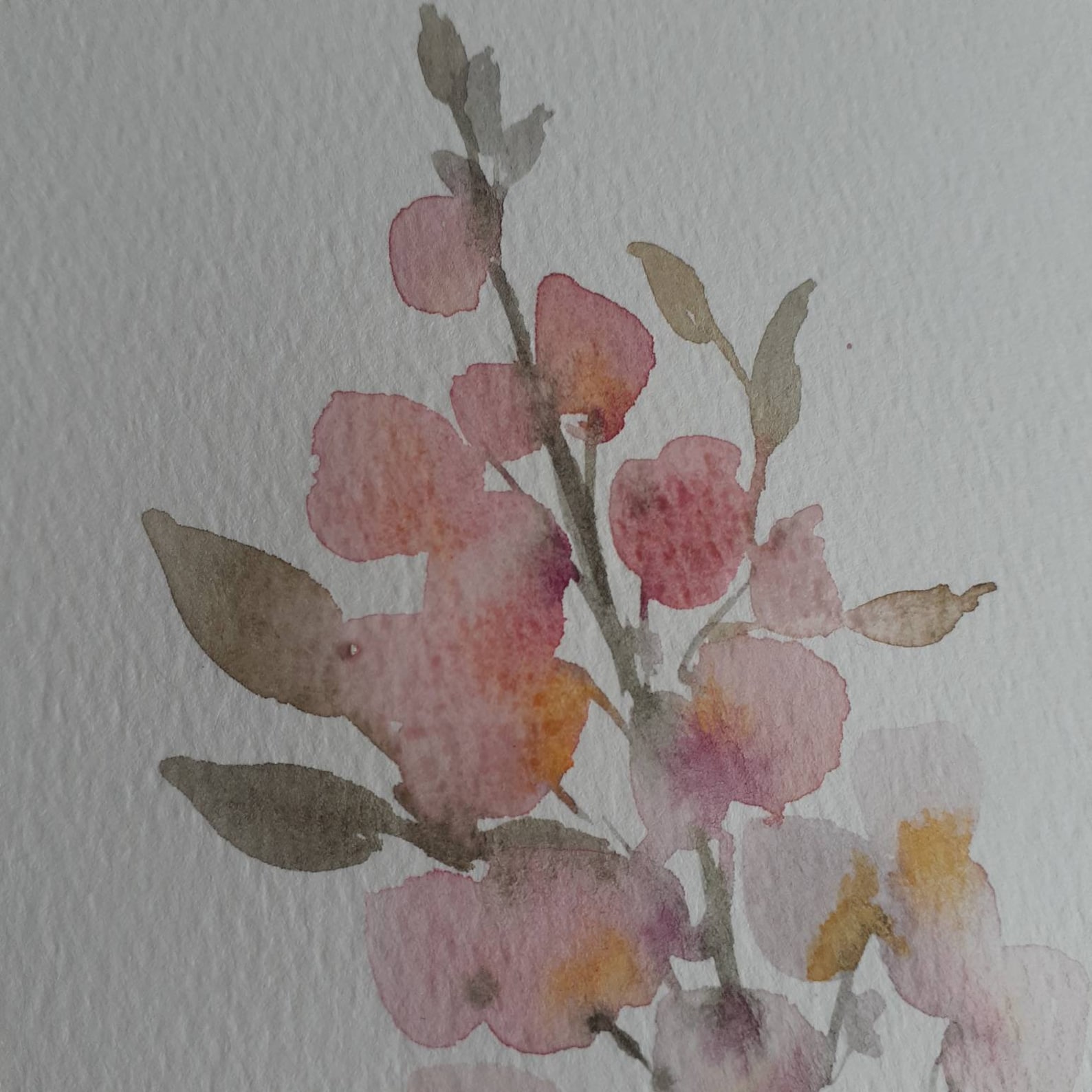 ORIGINAL Snapdragon Watercolor Painting Watercolor Florals - Etsy