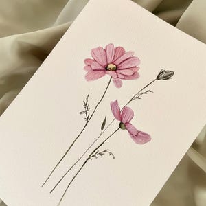ORIGINAL 5x7 Cosmos Painting Pink Flower Art Botanical Illustration ...