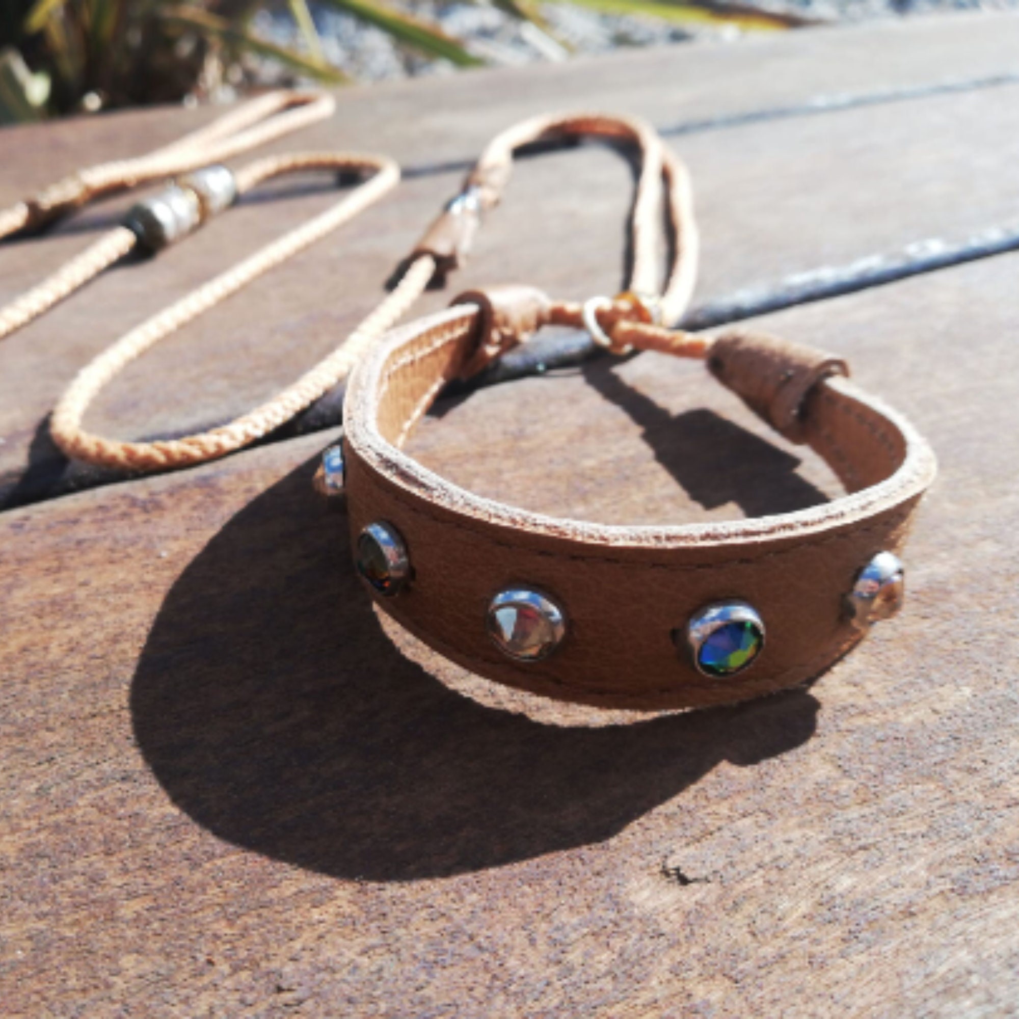 Dog Show Lead , Handmade Dog Show Leads, All-in-one Lead, Lead + Collar ...