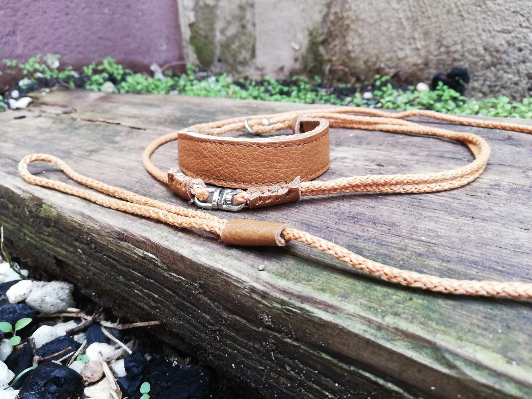 dog-show-lead-handmade-dog-show-leads-all-in-one-lead-collar-etsy