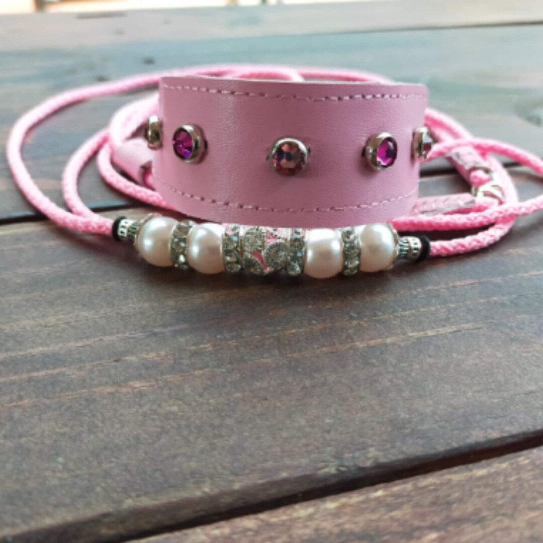 Pink Dog Show Lead , Handmade Dog Show Leads, All-in-one Lead, Lead ...