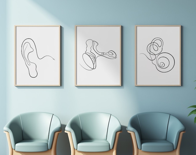 Ear Anatomy Set of 3 Prints, Audiology Poster, ENT Office Decor, Human ...