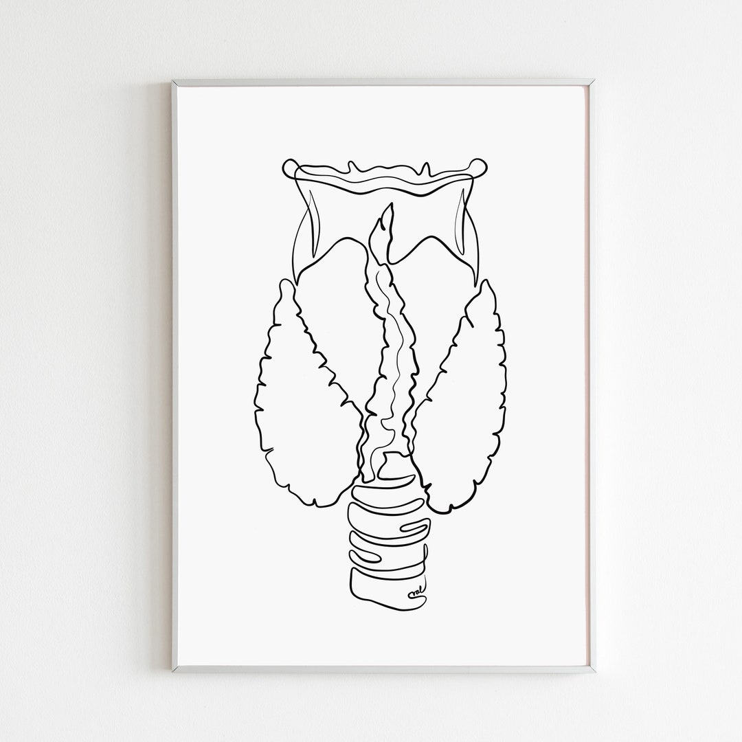 Thyroid Gland Art Print, Endocrinology Artwork, Human Anatomy Poster ...