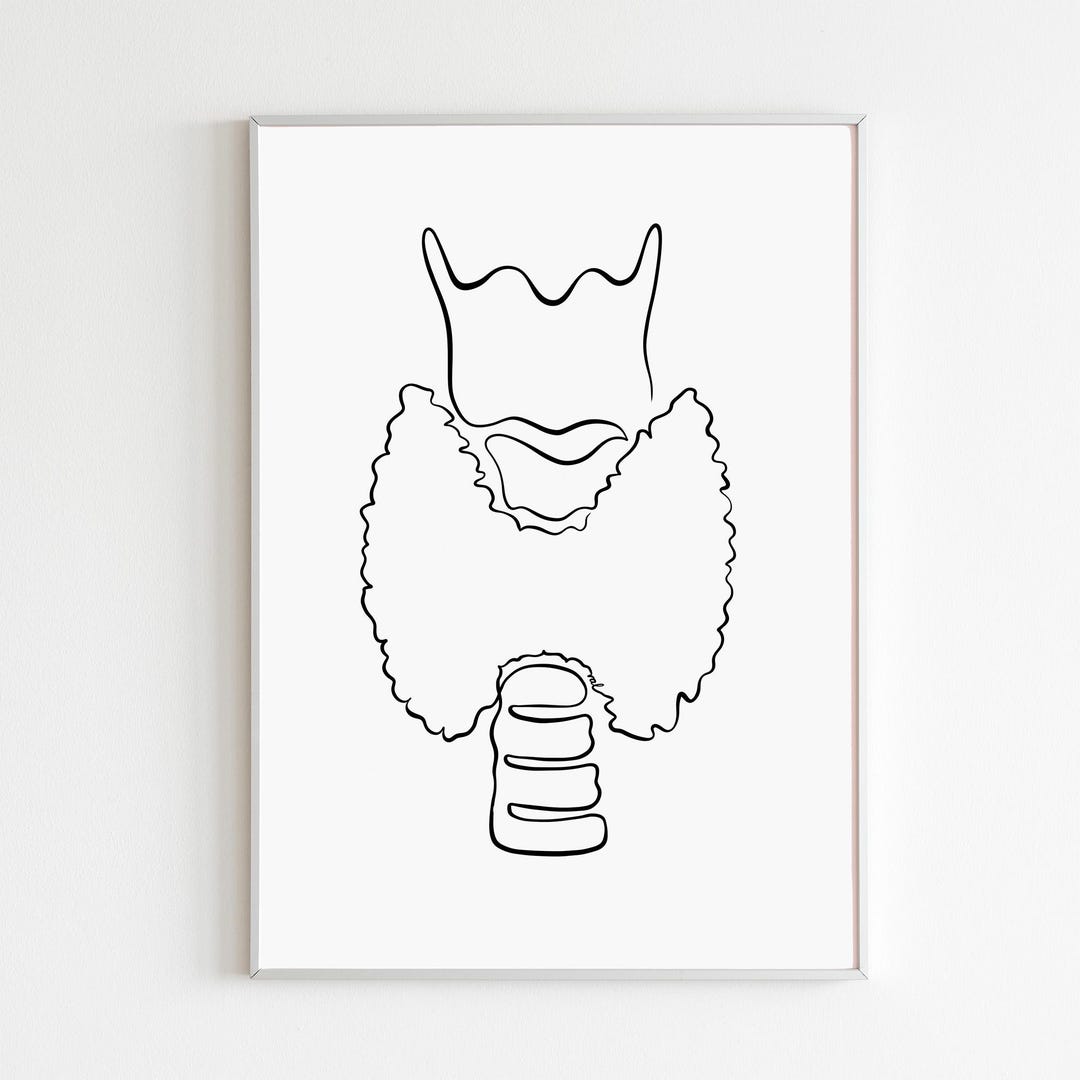 Thyroid Gland Print, Minimalist Endocrine Art, Minimalist Anatomy ...