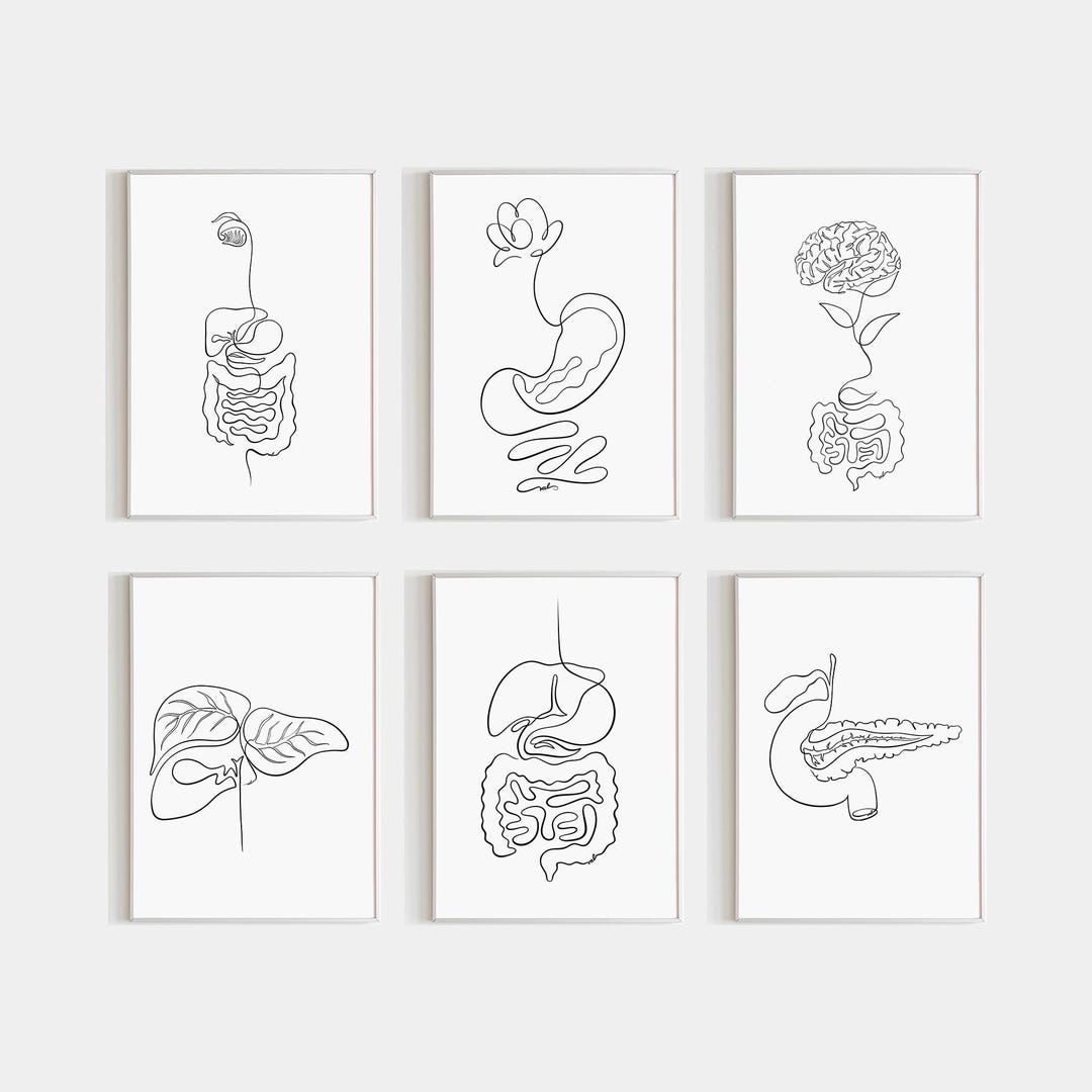 Digestive System Art Bundle, Stomach Liver Pancreas Intestines Gut ...