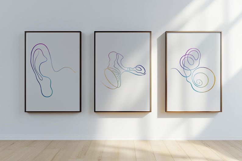 Ear Anatomy Art Print Audiology Set of 3 Outer Middle and Inner Ear Art ...