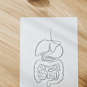 Digestive System Art Print, Intestines Wall Art, Gut Health Poster ...