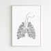 Lungs Art Print Respiratory System Pulmonologist Gift Lung - Etsy