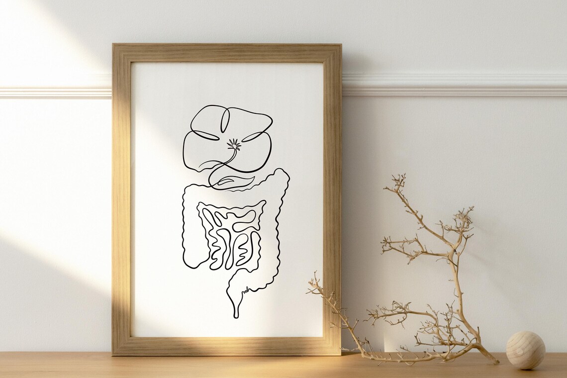 Digestive System Art Print, Gastrointestinal Tract Drawing, One Line ...
