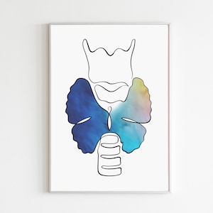 Thyroid Gland Butterfly Art Print, Abstract Human Anatomy Poster ...