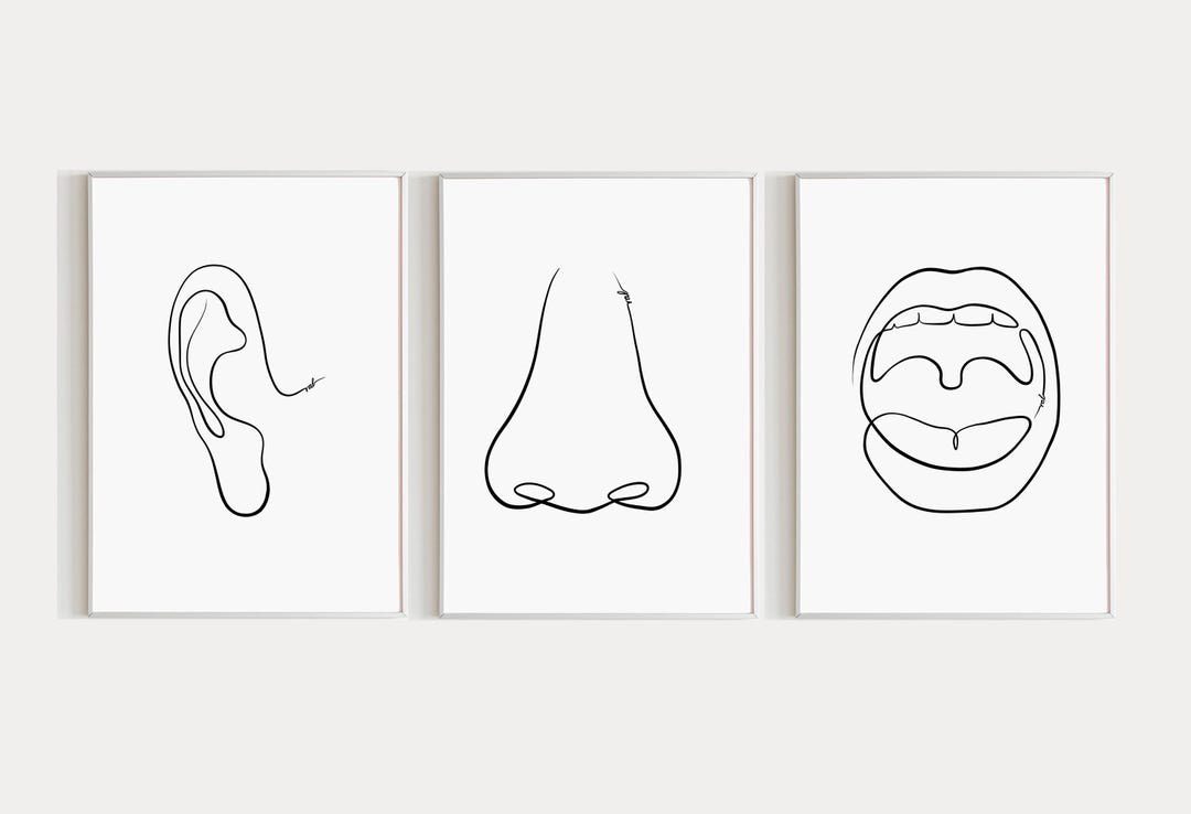 Ent Specialist Wall Decor, Minimalist Medical Anatomy Art, Single Line ...