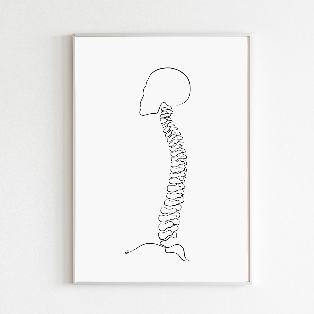 Spine Line Art Print Chiropractic Art, Physical Therapy Poster Spine ...