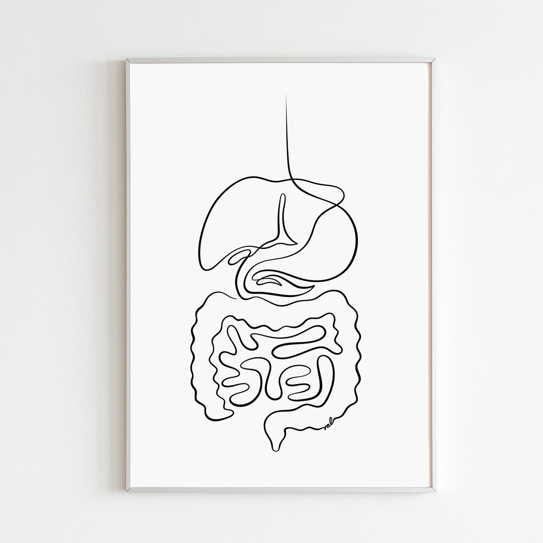 Digestive System Art Print, Intestines Wall Art, Gut Health Poster ...
