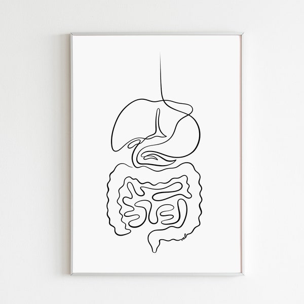 Dibujos Basiles Del Sistema Digestive - Etsy Canada