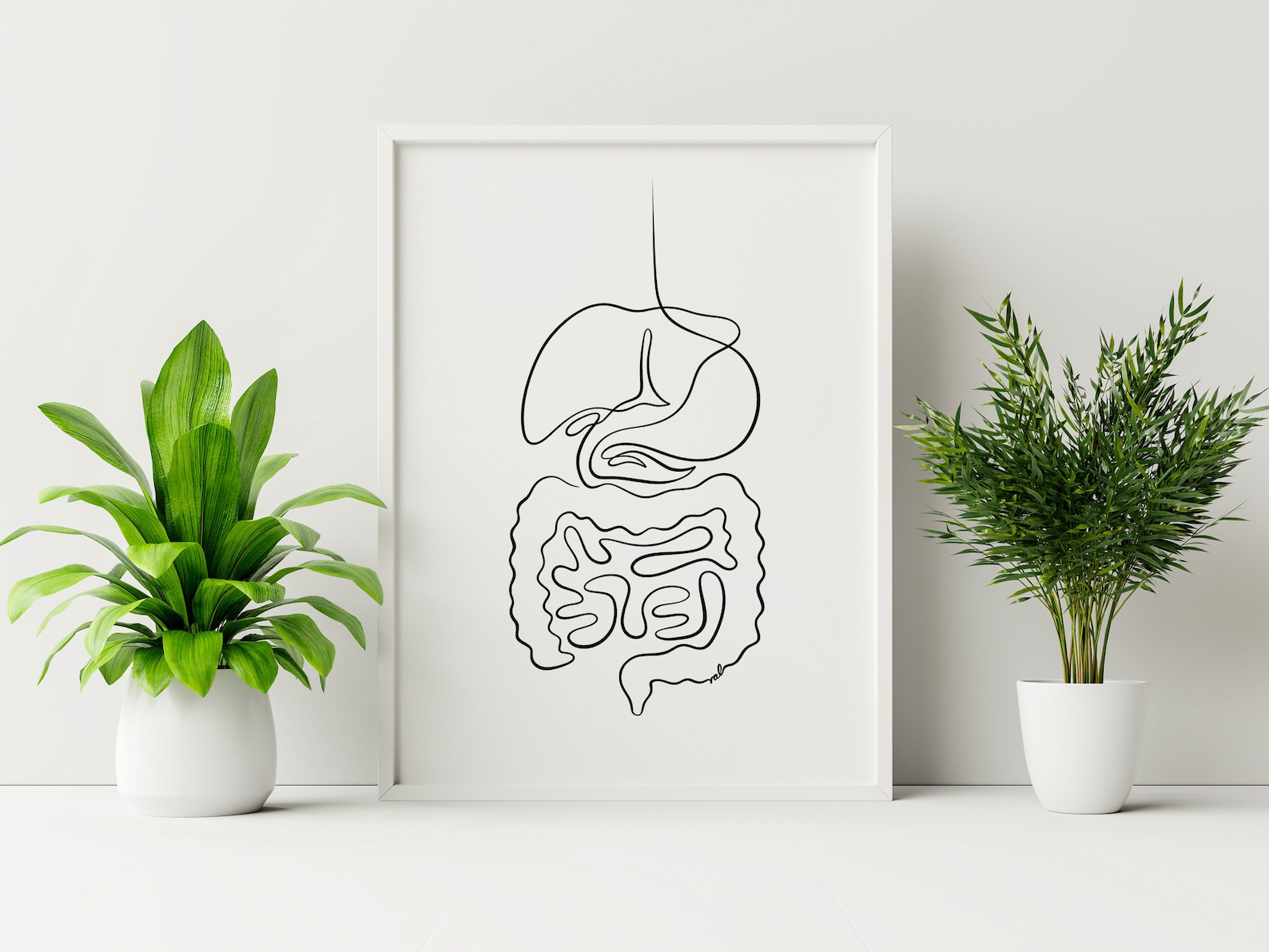 Digestive System Art Print, Intestines Wall Art, Gut Health Poster ...
