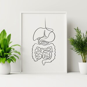 Digestive System Art Print, Intestines Wall Art, Gut Health Poster ...