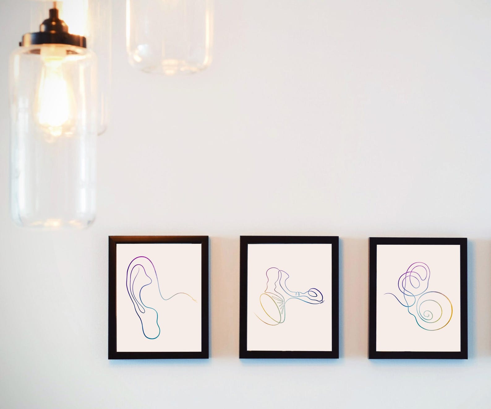 Ear Anatomy Poster Set of 3 Wall Art Audiology Prints, One Line Drawing ...