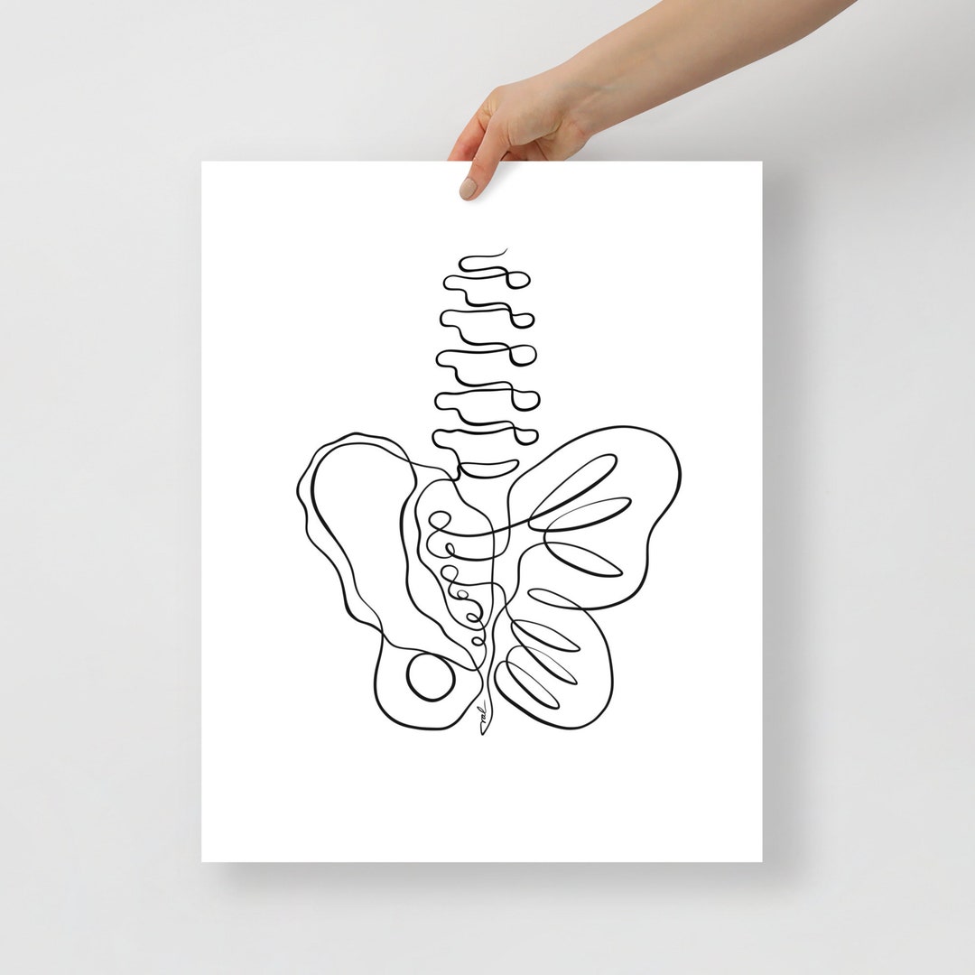 Pelvic Floor Physical Therapy Poster Butterfly Pelvis Line Art Print ...