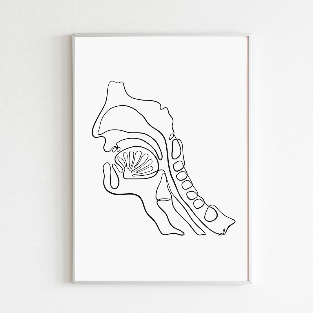 Anatomy Mouth Throat Art Print, Speech Language Pathology One Line ...