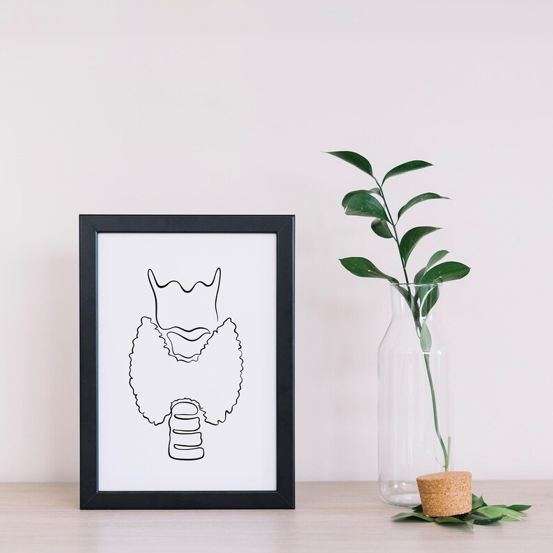 Thyroid Gland Print, Minimalist Endocrine Art, Minimalist Anatomy ...