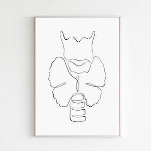 Thyroid Gland Butterfly Art Print, Abstract Human Anatomy Poster ...