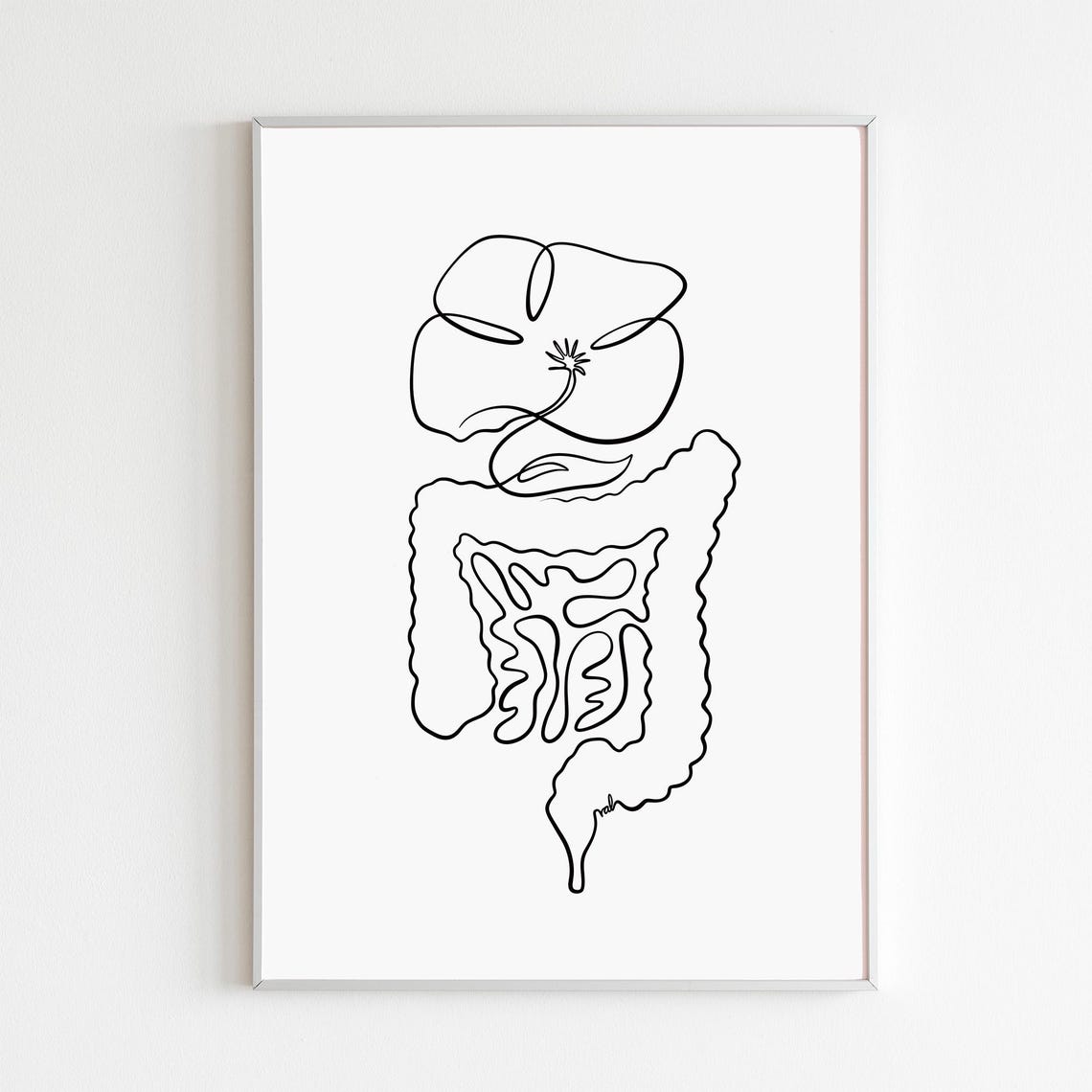 Digestive System Art Print, Gastrointestinal Tract Drawing, One Line ...