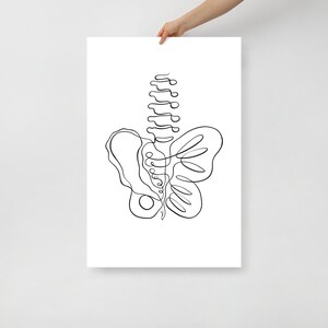 Pelvic Floor Physical Therapy Poster Butterfly Pelvis Line Art Print ...