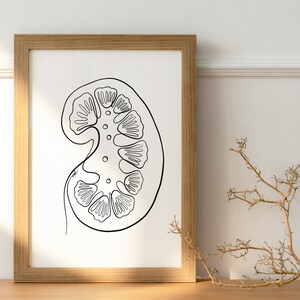 Kidney Art Print Floral Anatomy Artowork Nephrologist Gift - Etsy