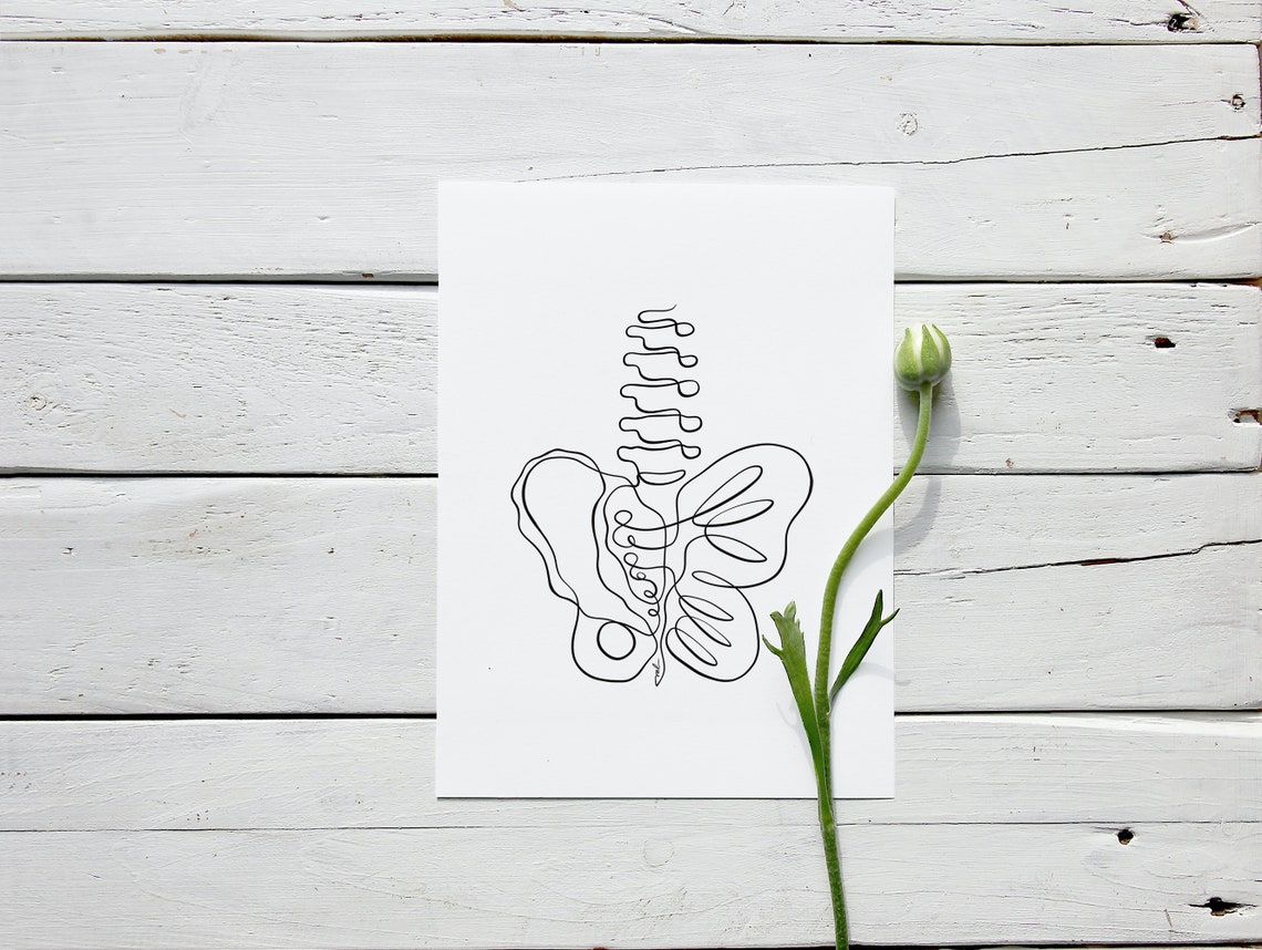 Spine Pelvic Floor Print, Physical Therapy Art, Pelvic Health Art ...