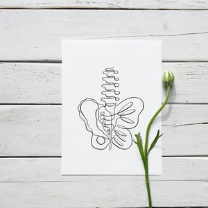 Spine Pelvic Floor Print, Physical Therapy Art, Pelvic Health Art ...