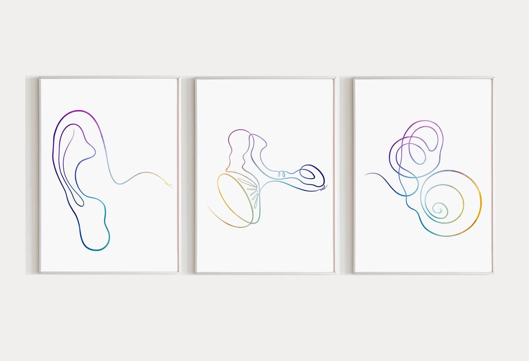 Ear Anatomy Art Print Audiology Set of 3 Outer Middle and Inner Ear Art ...