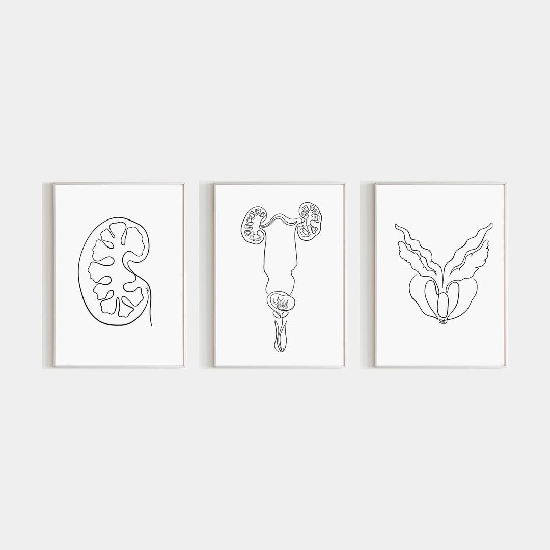 Urology Art Set of 3 Prints, Kidney, Bladder, Urinary Tract Poster ...