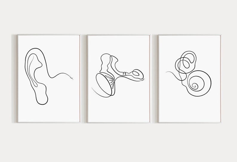 Ear Anatomy Set of 3 Prints, Audiology Poster, ENT Office Decor, Human ...