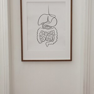 Digestive System Art Print, Intestines Wall Art, Gut Health Poster ...