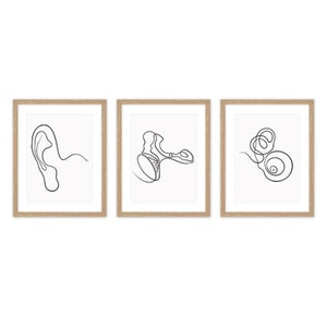 Ear Anatomy Art Print Audiology Set of 3 Outer Middle and Inner Ear Art ...